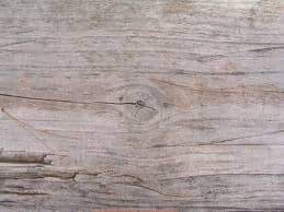 Natural Wood Finish And Protection From The Weather