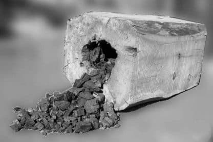 Wood Rot, What It Is, How It Happens And How We Stop It?